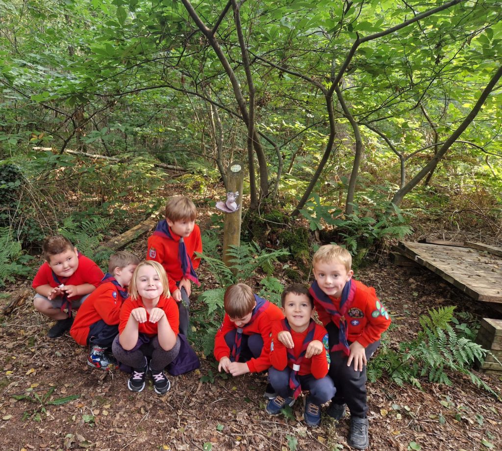 Squirrels – 24th Hastings Scouts
